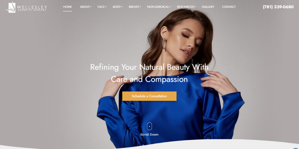 Wellesley Cosmetic Surgery - Aesthetic Brand Marketing